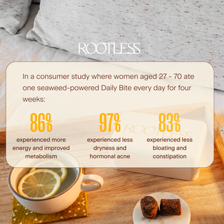 The Daily Bites Variety Pack – Rootless